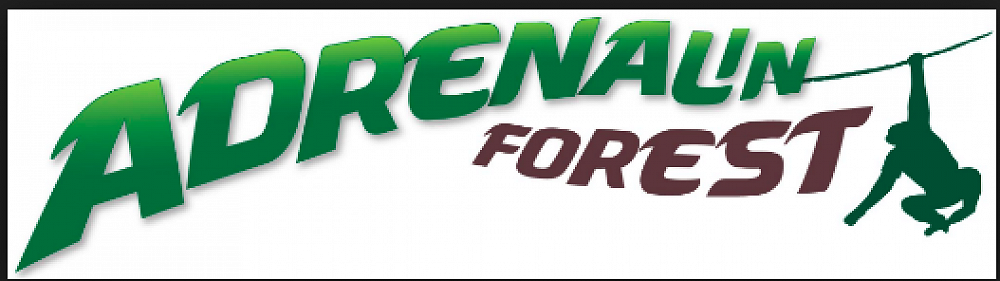 Cultural Captain News Week 8