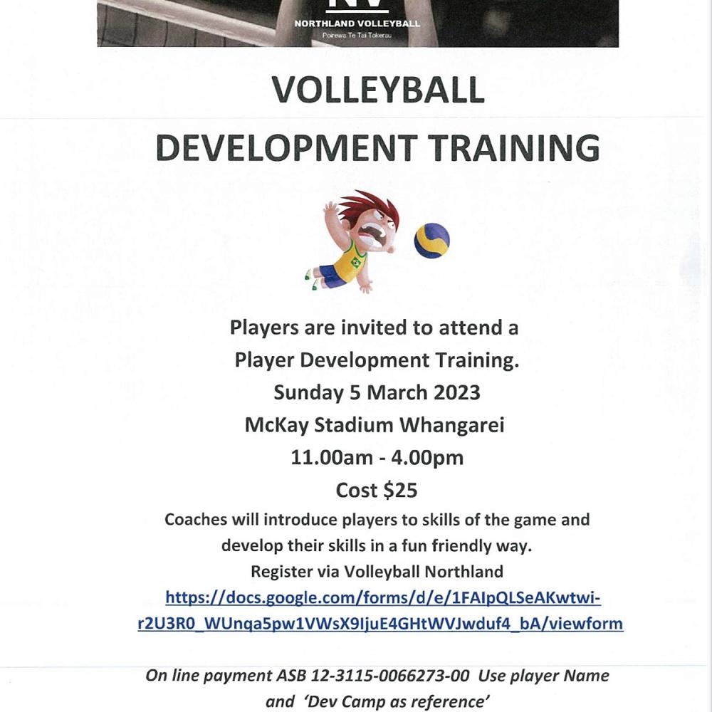 Volleyball Development Training
