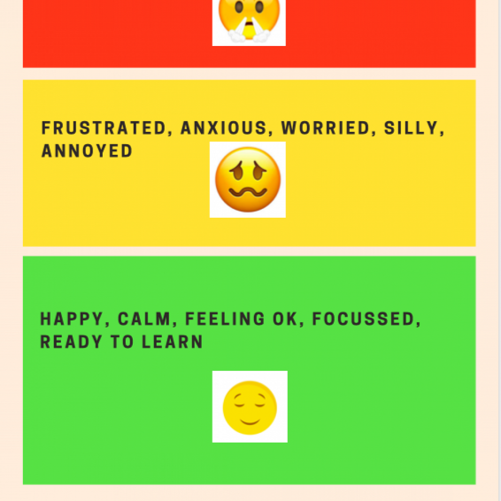 Positive Behaviour for Learning (PB4L) Emotional Regulation