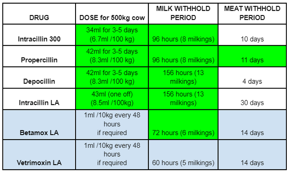 Injectable penicillin dose and WHP changes — Summer Dairy Notes 2023