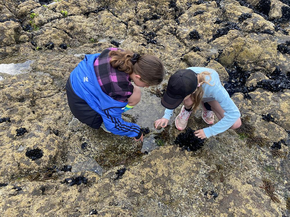 Wainui Camp 2024 - Hīwai