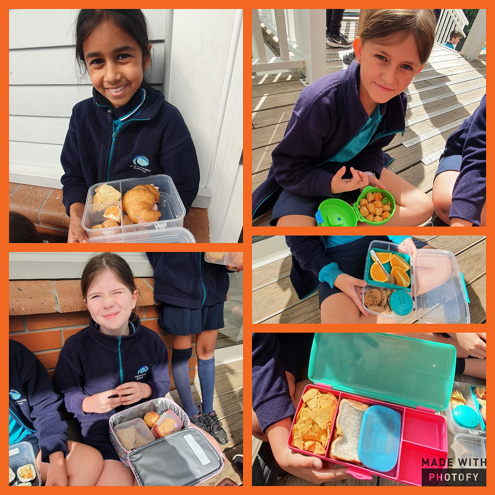 Waste Free Wednesdays