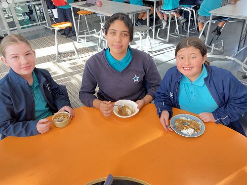 Vaiaso o le Gagana Samoa - Samoan Language Week — Newsletter - 30 May 2024