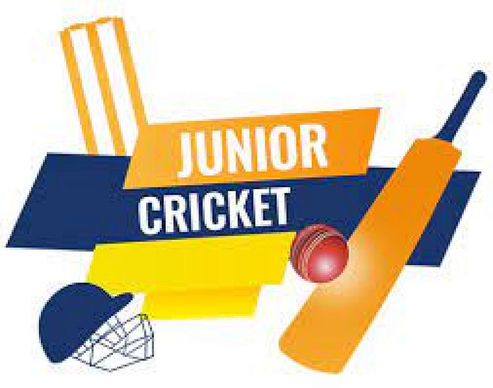 Cricket - Summer fun