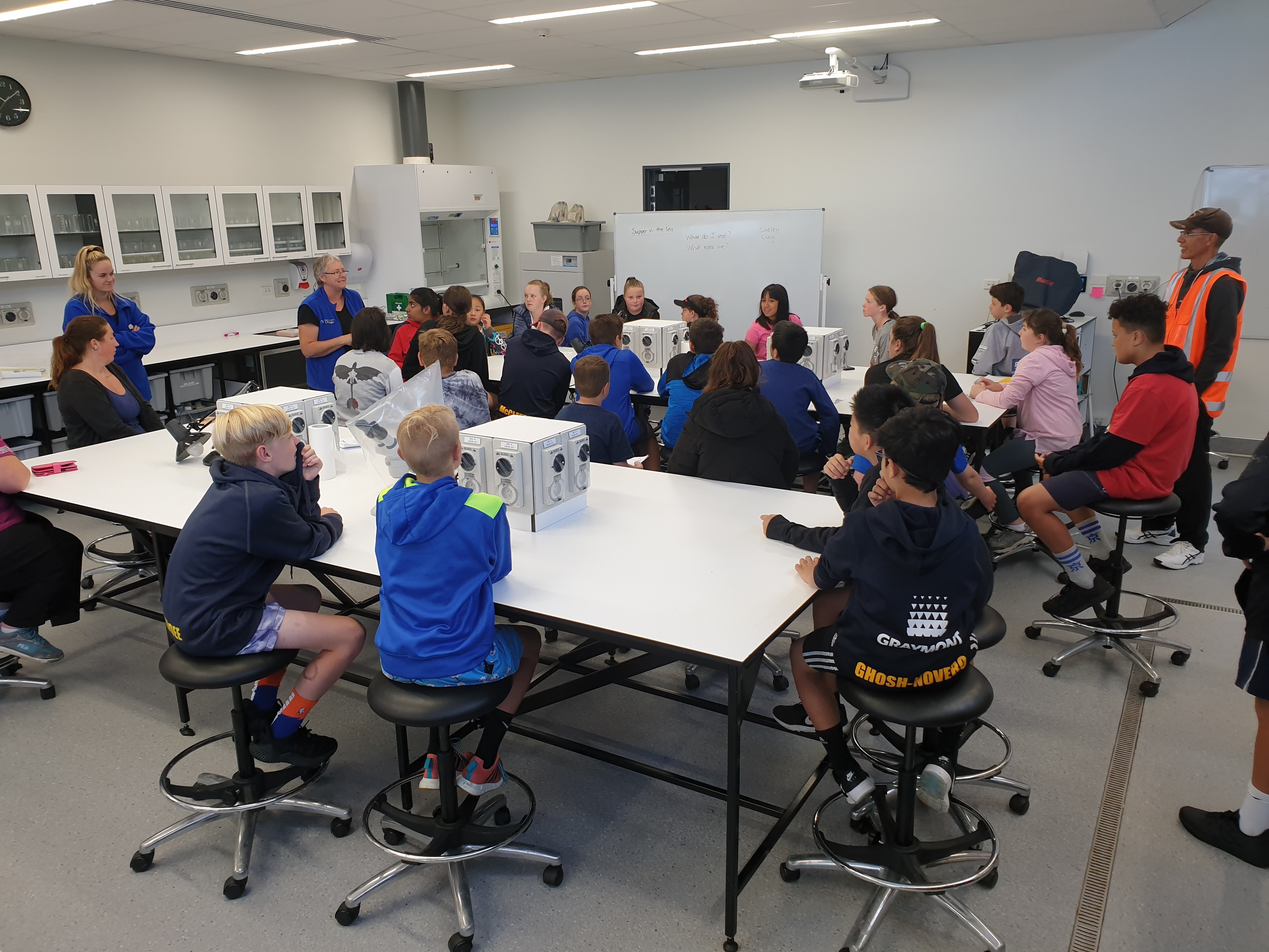 Year 8 Happenings | Balmacewen Intermediate