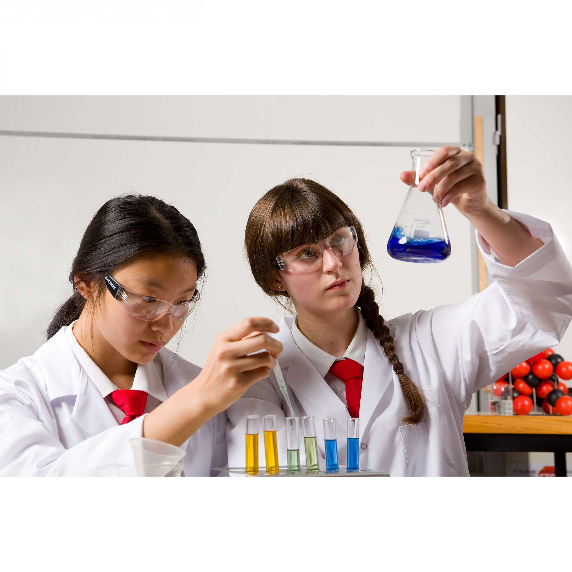 LABORATORY ASSISTANTS