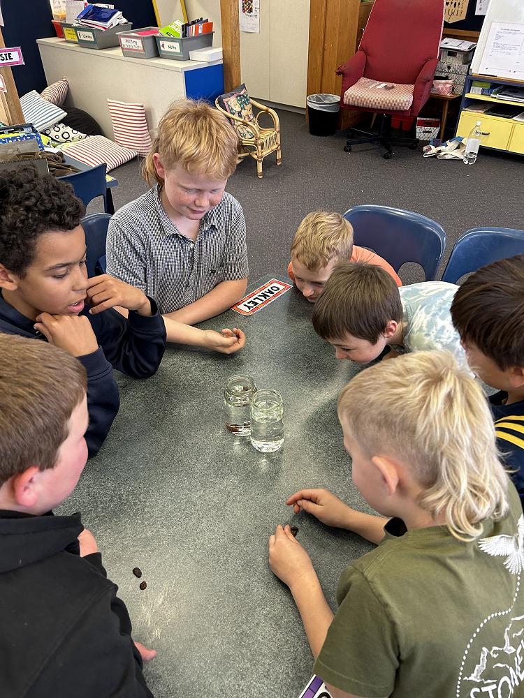 Science in the Seniors — Term 2 Week 6 Newsletter