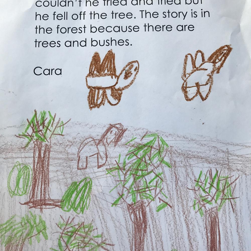 Hub One Writing Programme