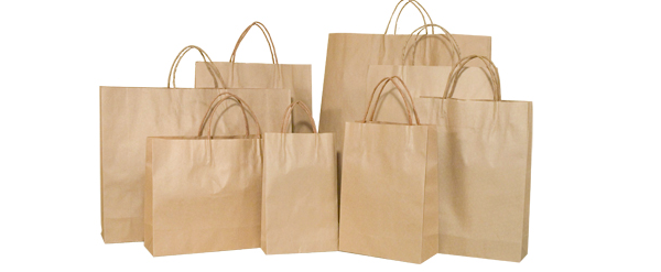 Matariki - We Need Paper Bags. | Tahuna Normal Intermediate