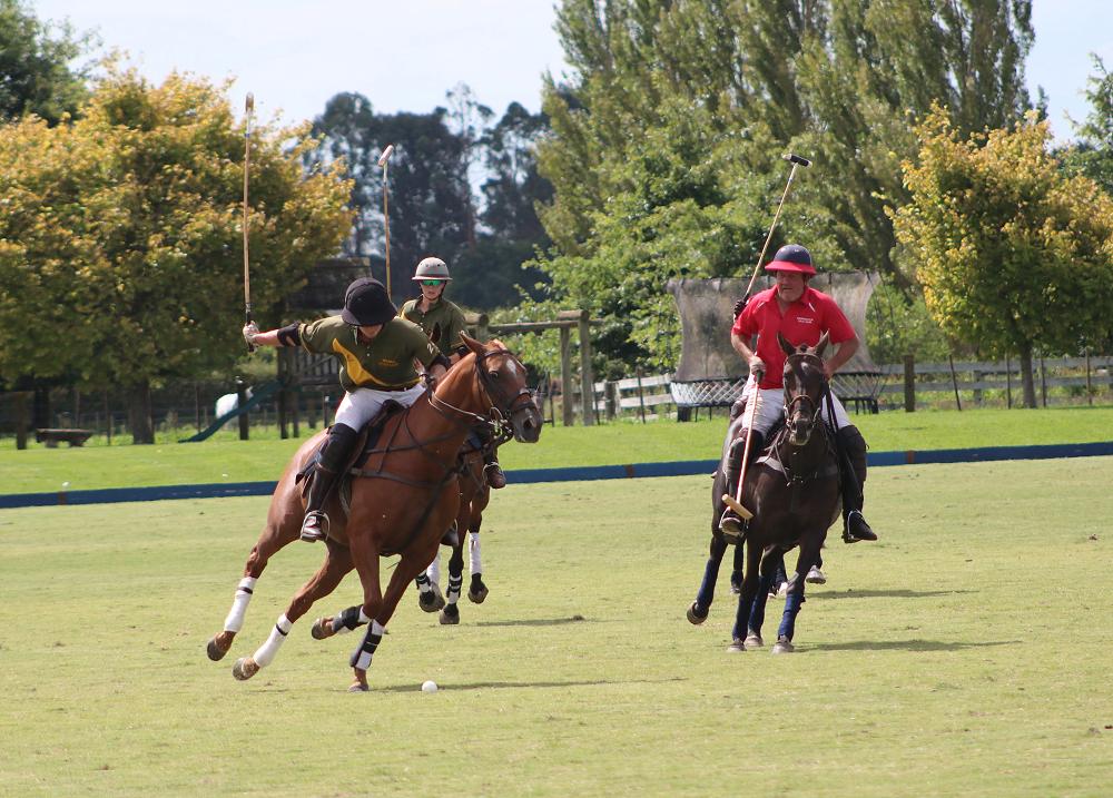 🏴 Polo Tournaments 🐎