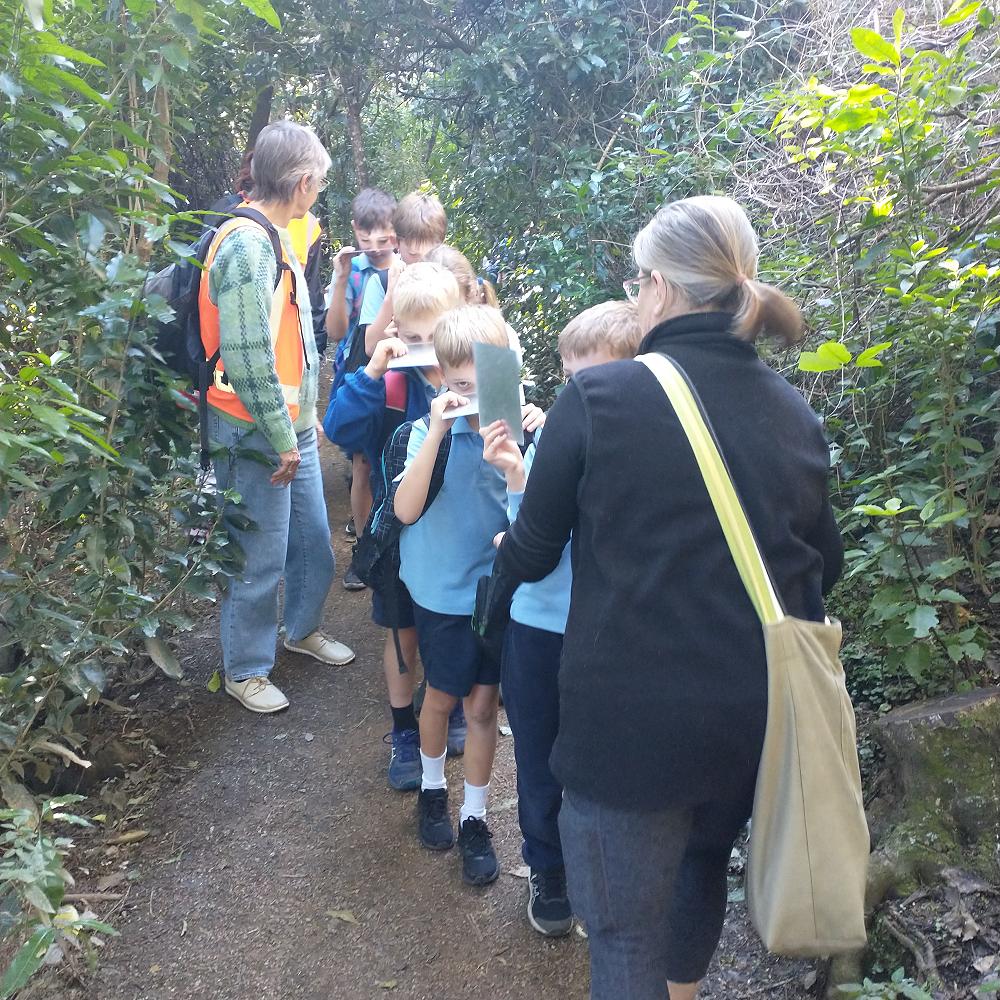 Newsletter Week 1, Term 3