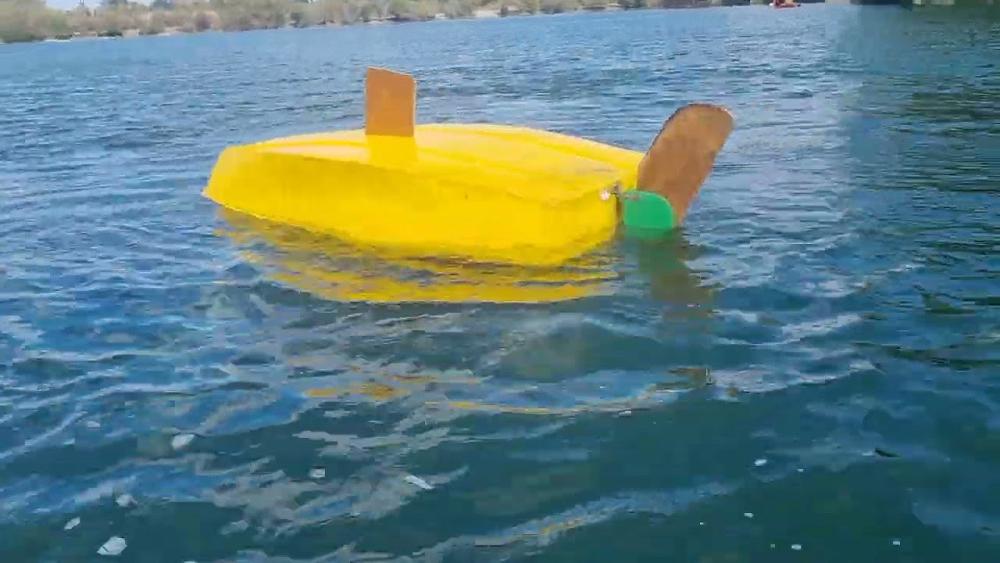 Video: Sailing Trip to Lake Rua — Newsletter 15 March 2024