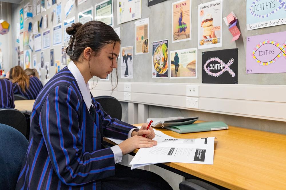 Curriculum Guide 2024