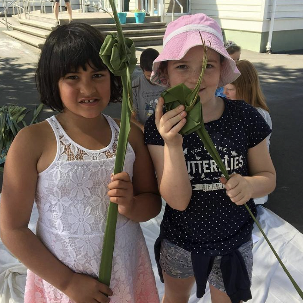Whānau Wānanga (Family Day/Workshop) at Wakari School!