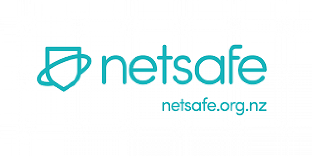 Netsafe - our digital world — 2018 Newsletter 10