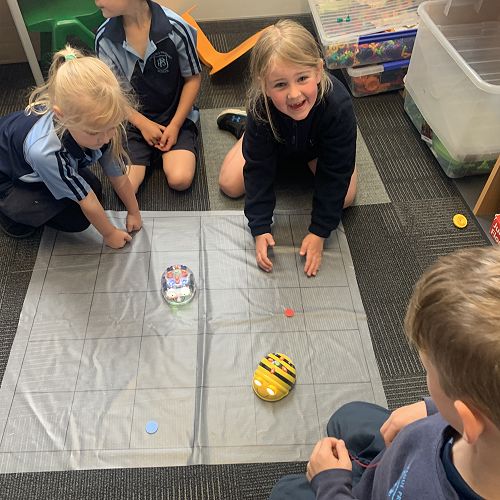 Newsletter, 11 November 2021 by Papanui Primary School