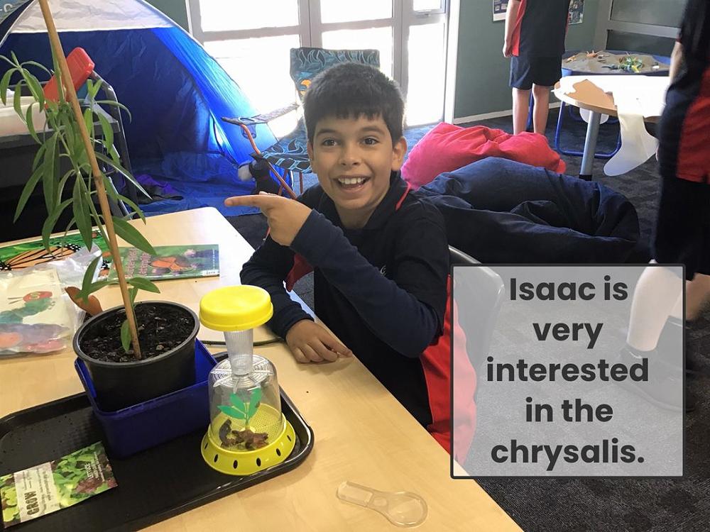 Students at Putahi are enjoying learning a variety of new things together.