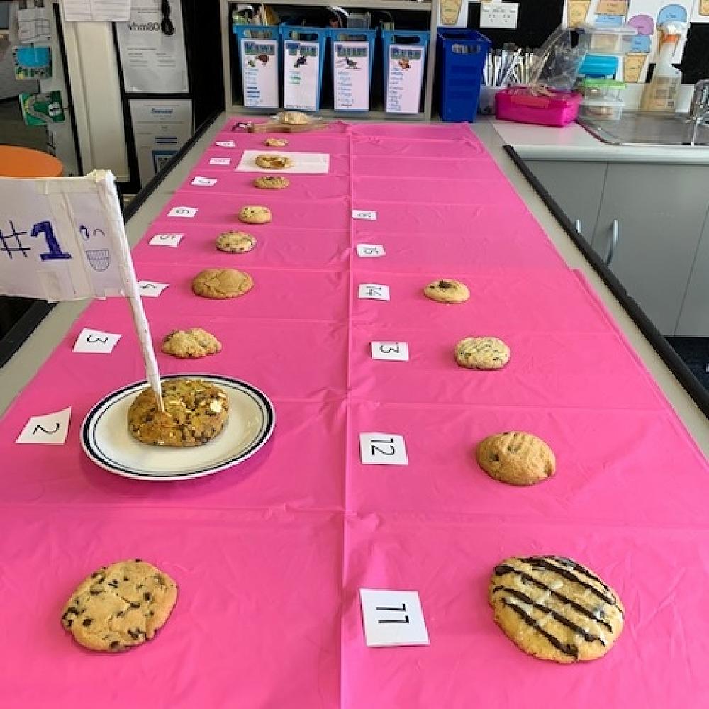 Room 9's Chocolate Chip Cookie Competition