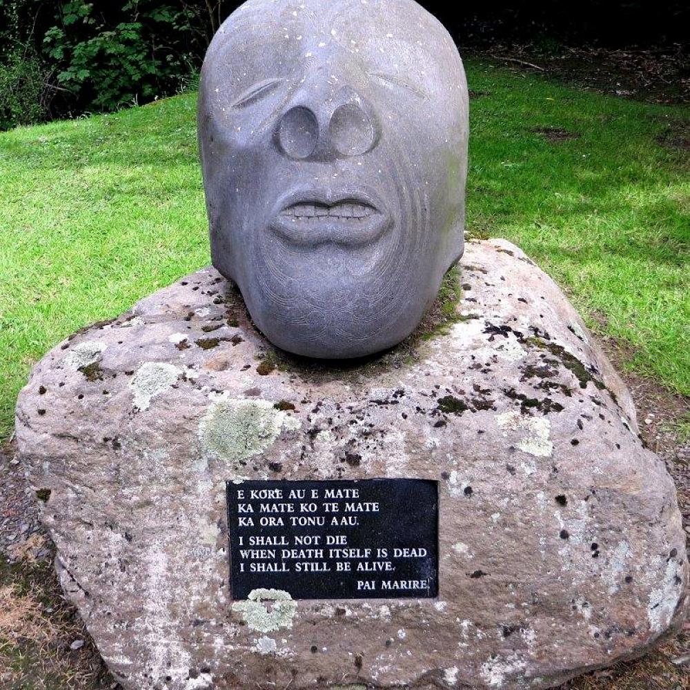 Learning from Parihaka