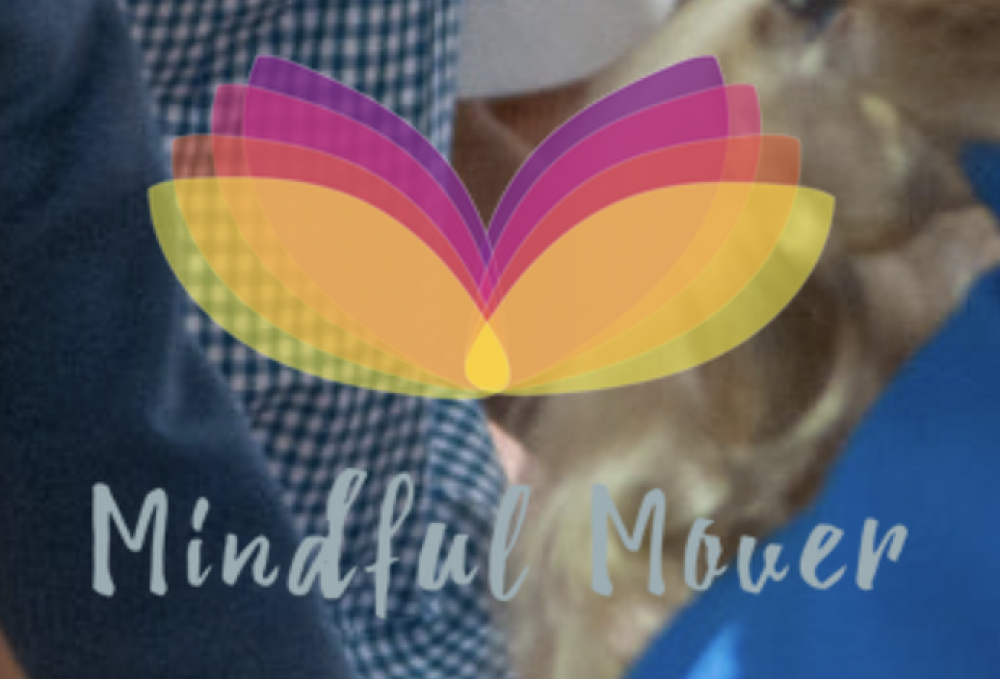 MINDFUL MOVERS