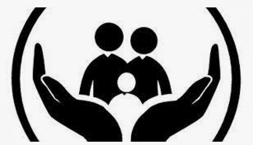 Kaitiaki Group 2021 — Newsletter - Week 8, Term 1 2021