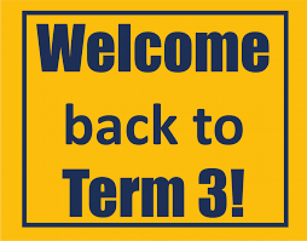 Welcome to Term 3