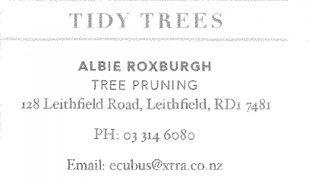 Tidy Trees