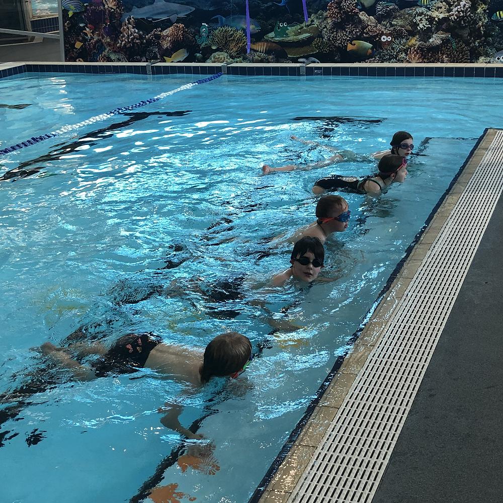 Year 4 Swimming Programme