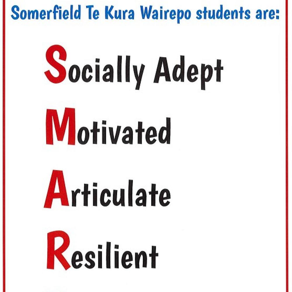 SMART Values - document attached below