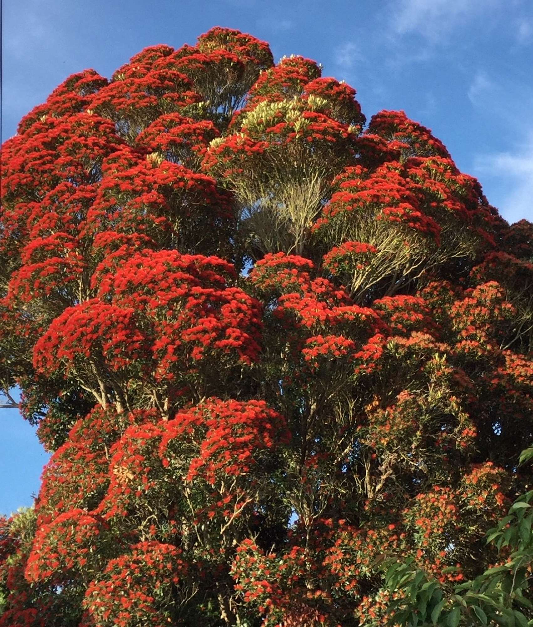 Southland Archdeaconry Newsletter