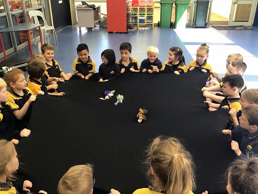 Friday Music with Dale McKay