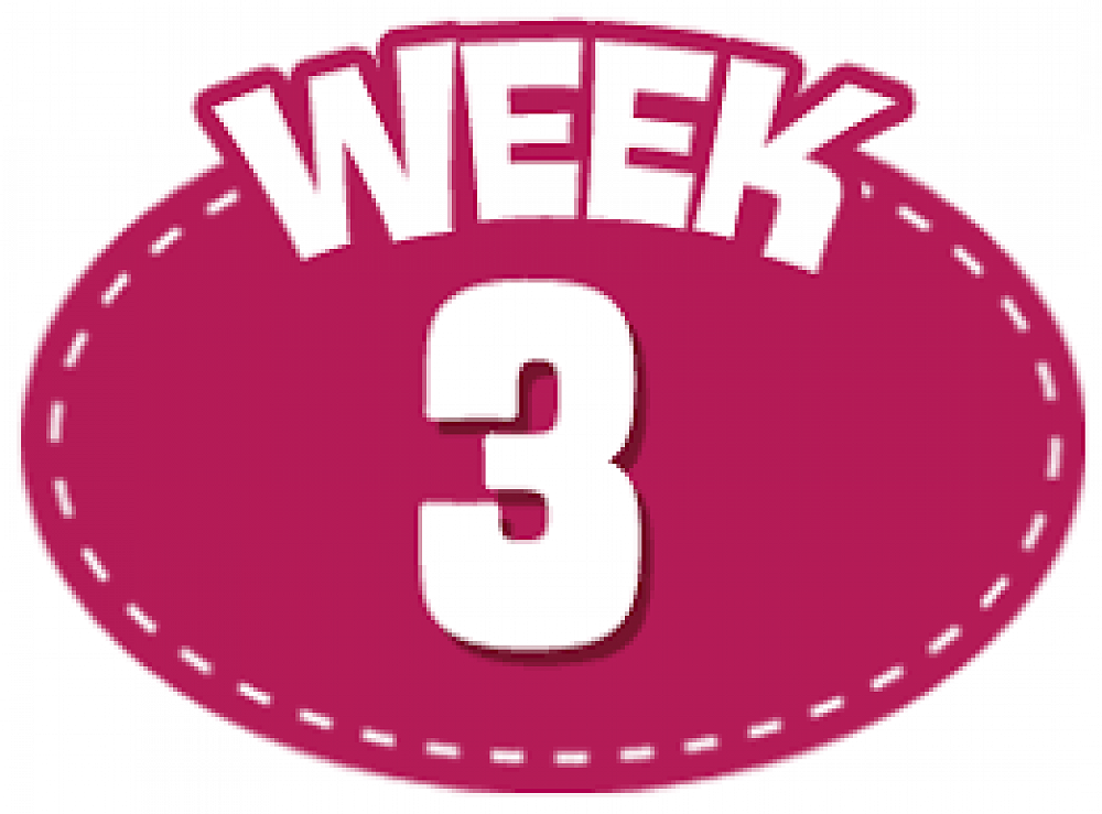 Week 3: What's happening next week?