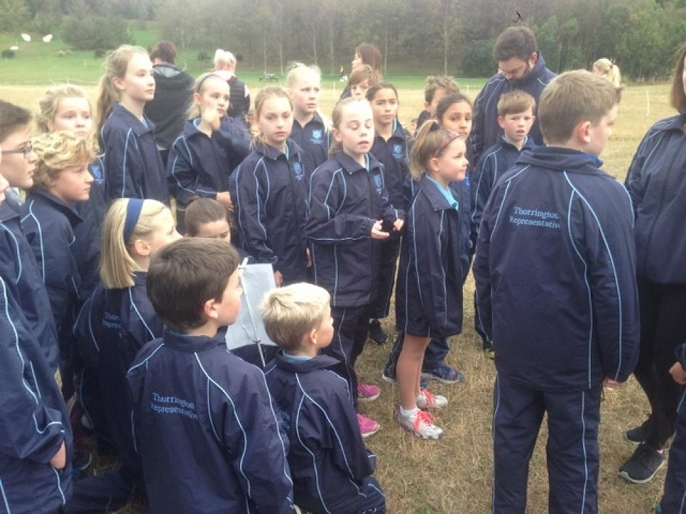 THORRINGTON NEWSLETTER