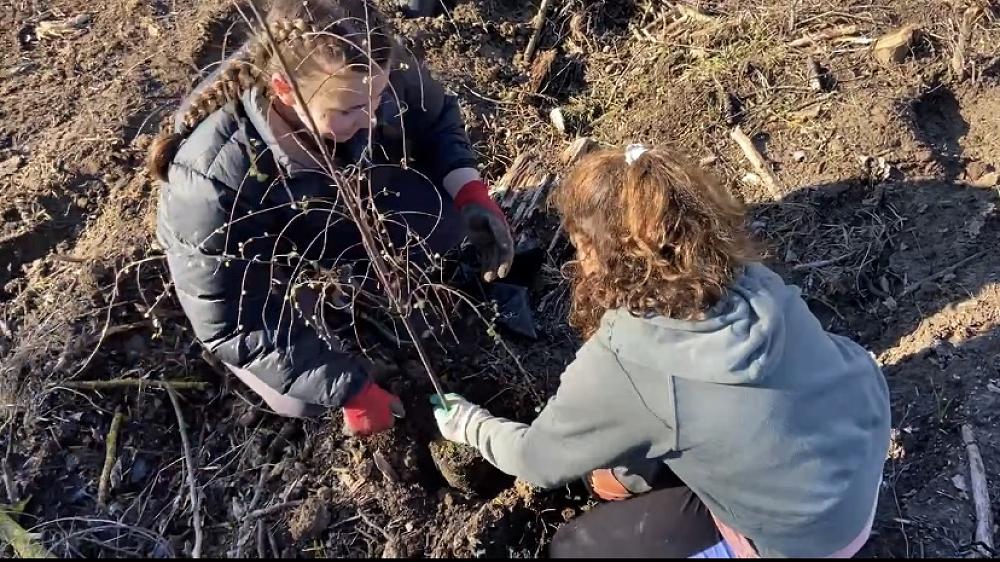Enviro Team Update — MGC Bulletin - 26 August 2022