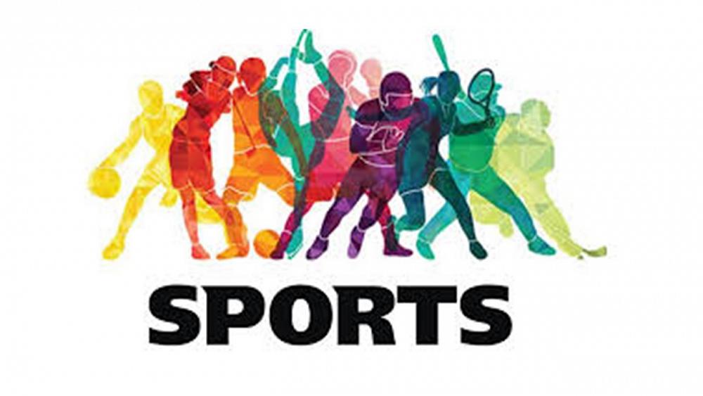Term 4 Sports — Term 3 Week 8