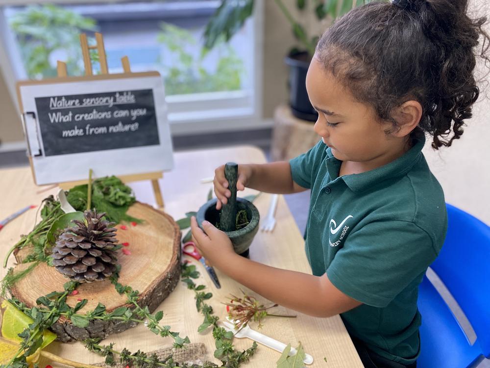 A Word from the Principal