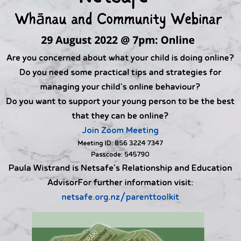 Online Safety with Netsafe