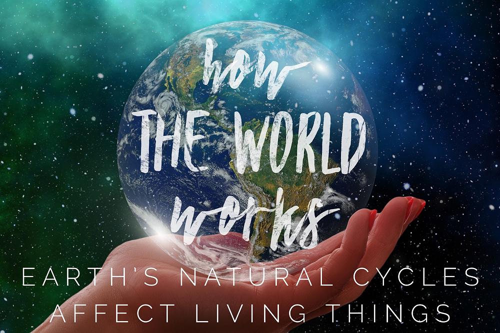 Our Learning: How the World Works — Our Learning