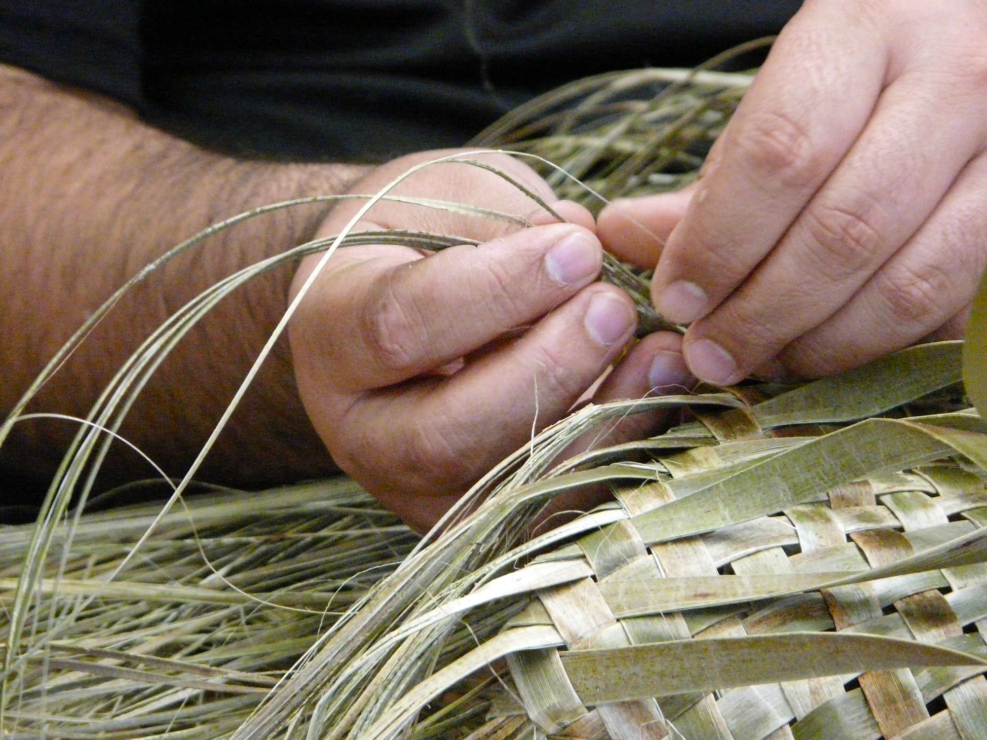 Wairua: Te kaiwhatu ātaahua | The beautiful weaver