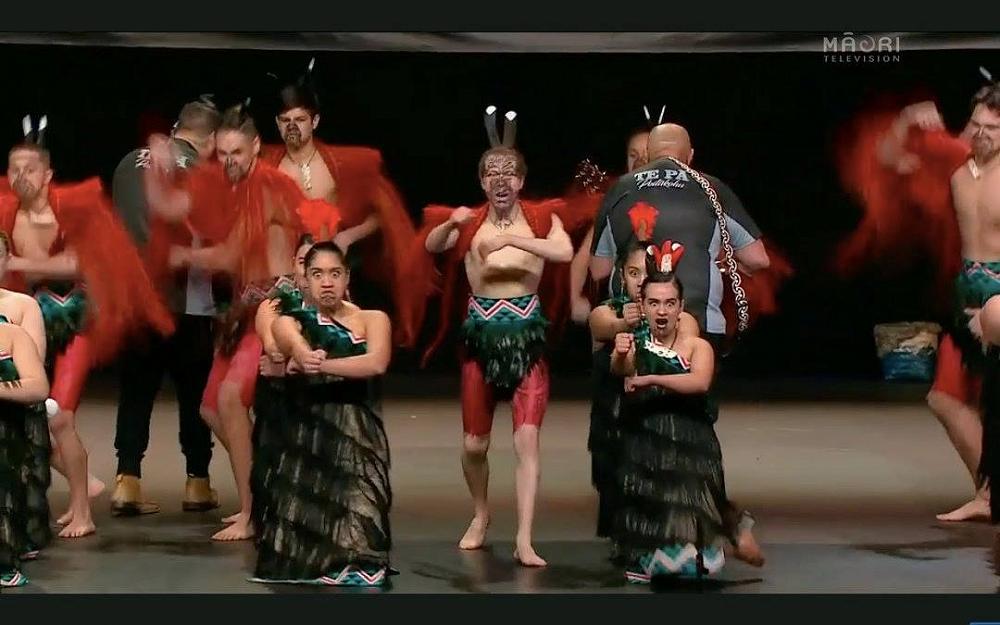Te Ao Haka - Parents View