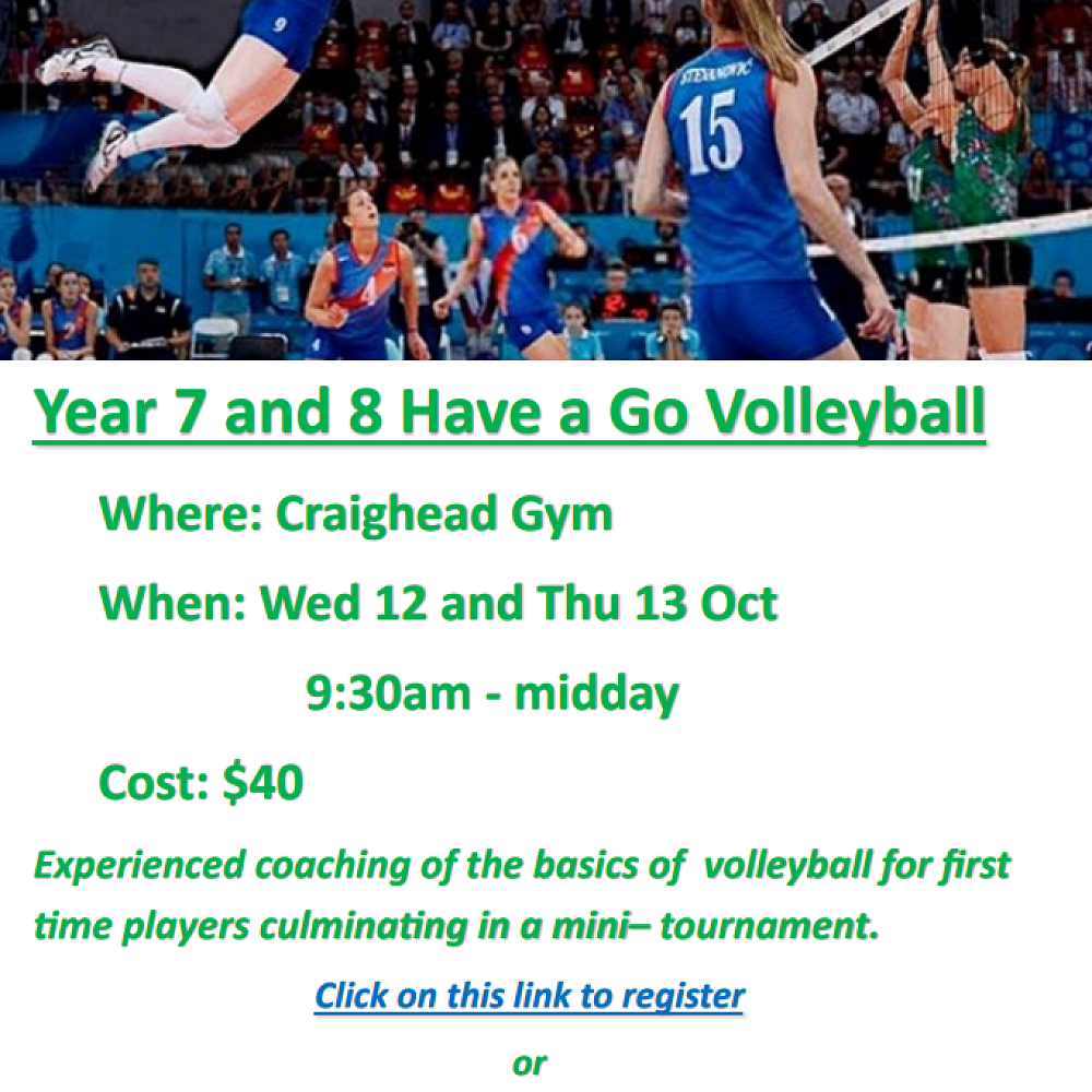 Have a Go Volleyball - Year 7 and 8