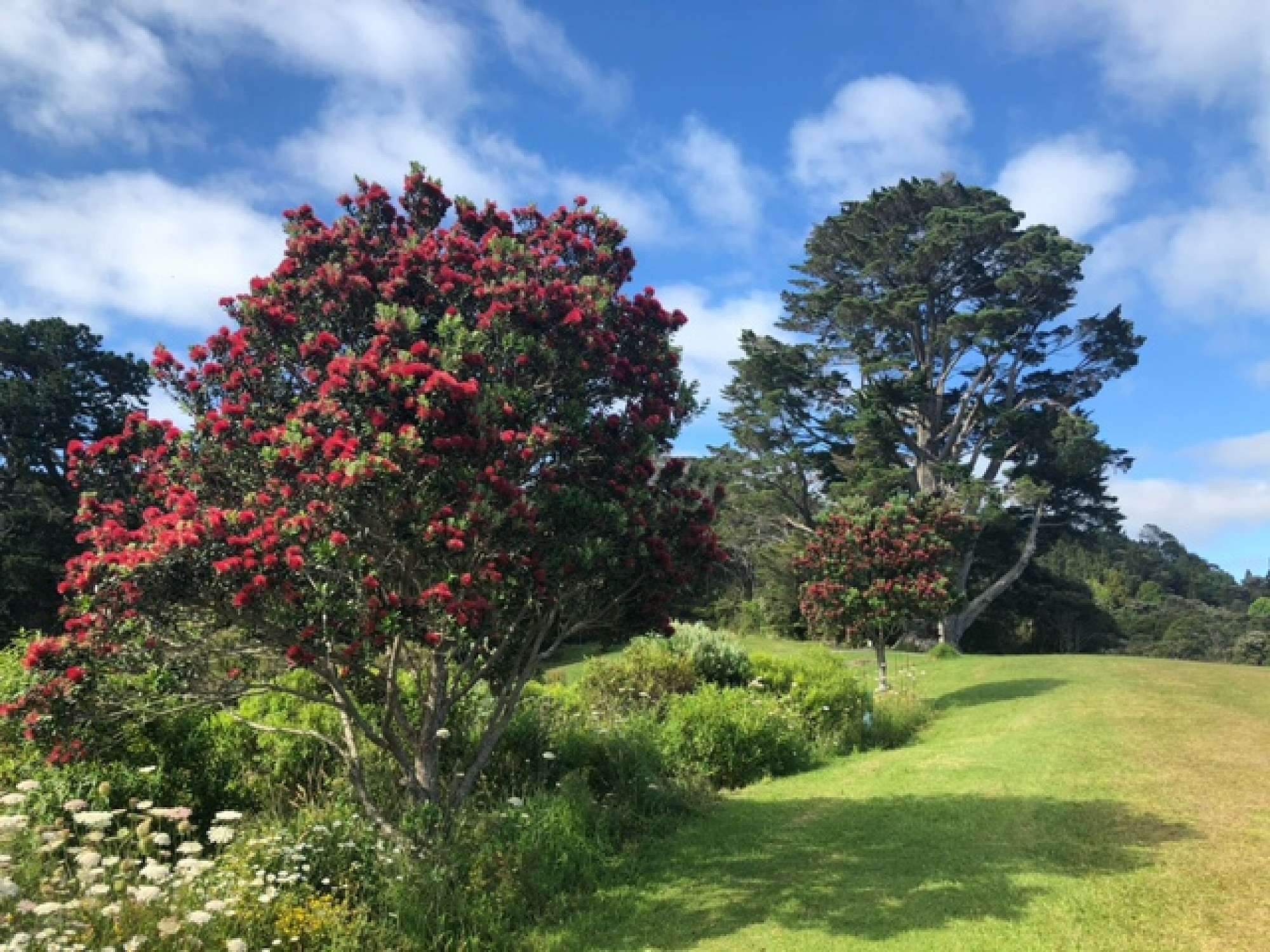 Kia ora koutou e te whānau
