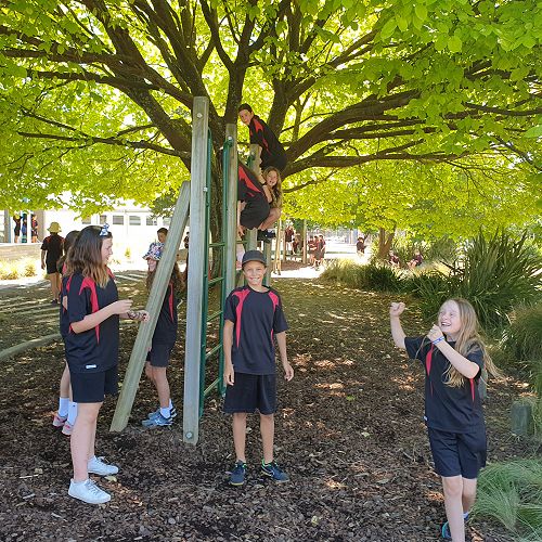 Waimea Intermediate School