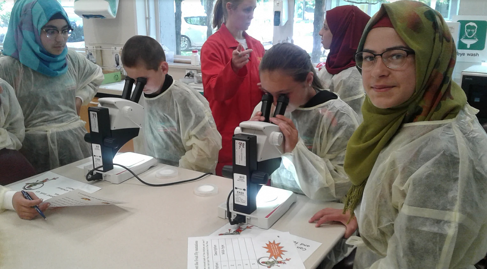 Newsletter - Week 9 - Term 4