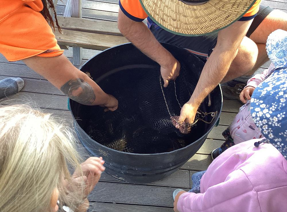 Learning about the native eels at Lake Tekapo