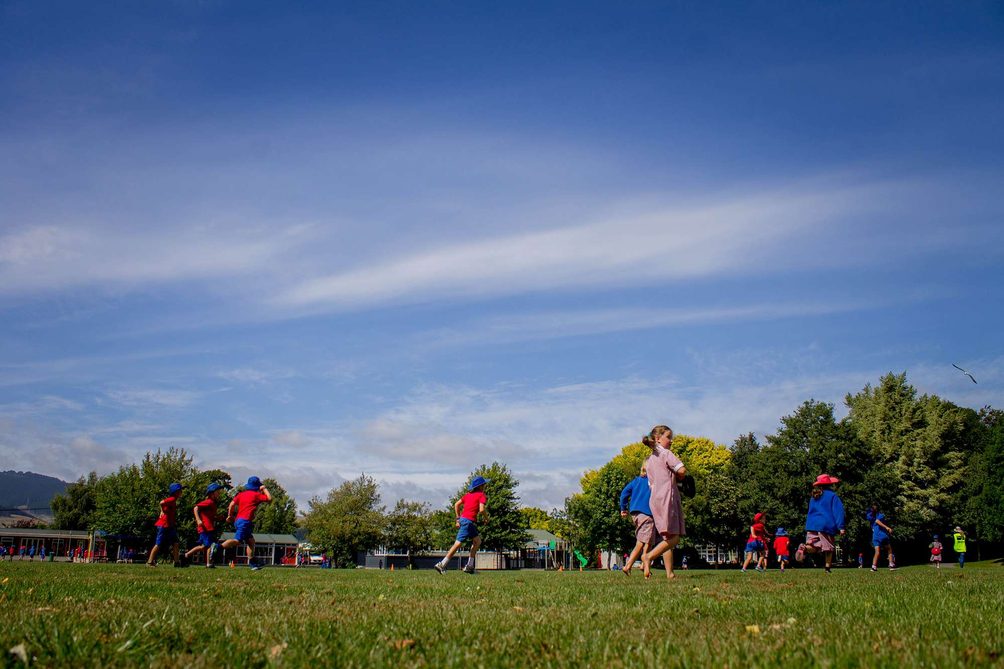 Hoon Hay Te Kura Kōaka