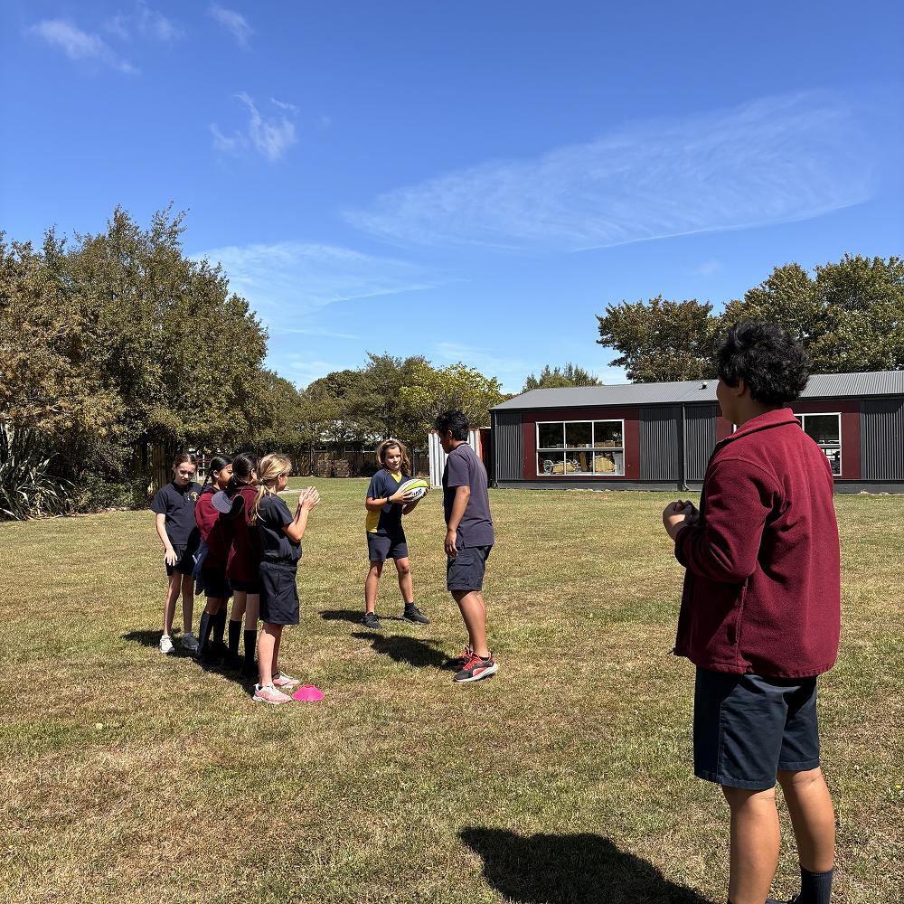 PALs (Physical Activity Leaders)