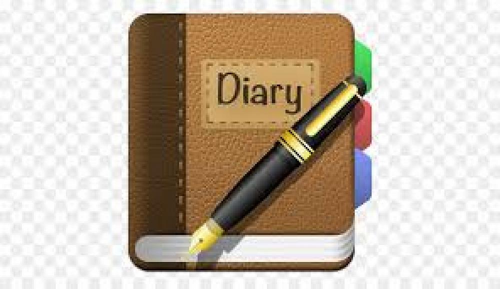 School Diary — Pānui/Newsletter: Week 6, Term 4, 2022
