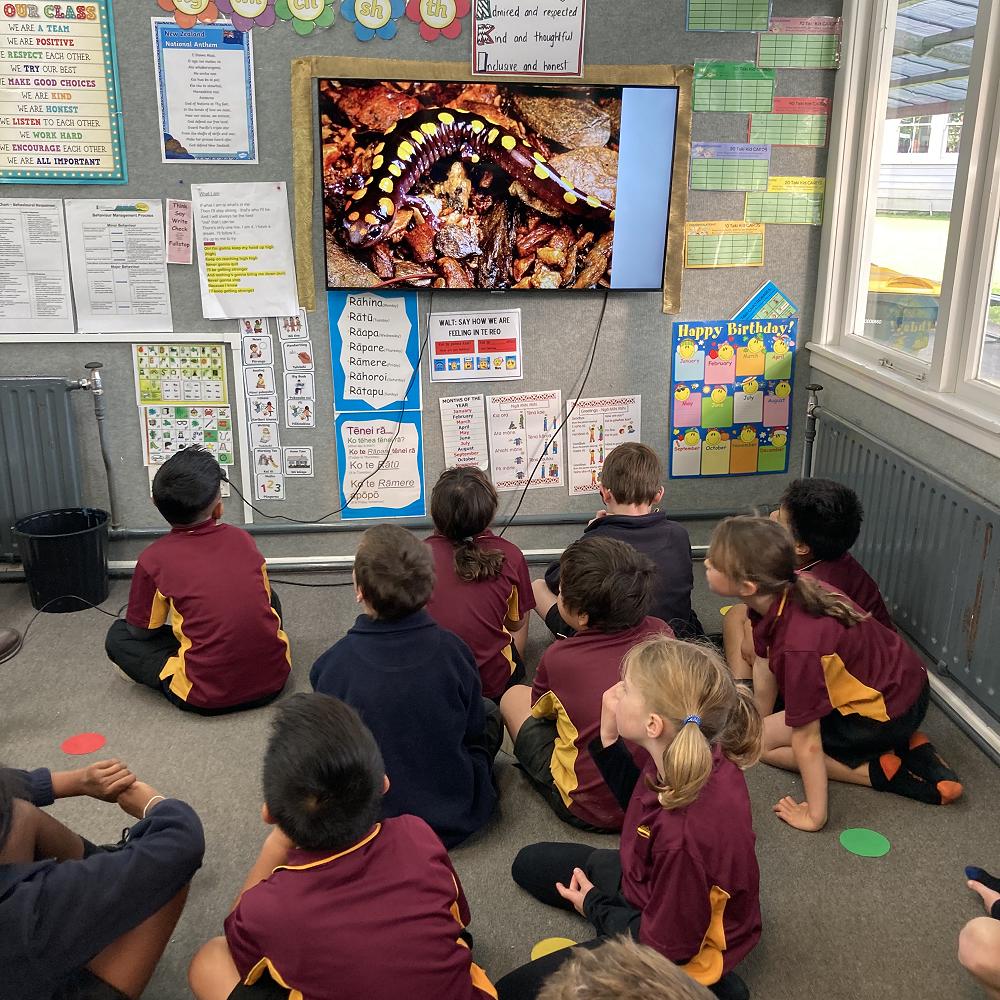 Extra Special Events for Ruru — Newsletter, Term 1 Week 5 2024