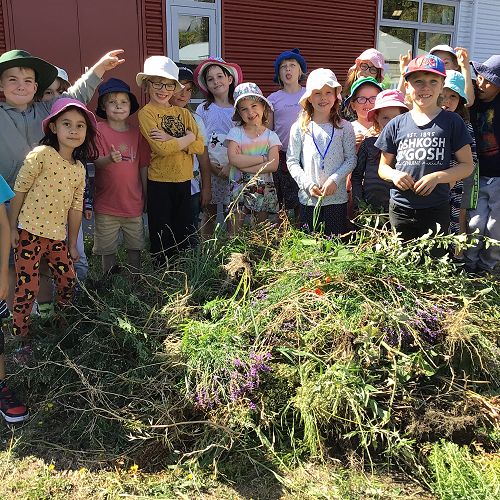 Lyttelton Primary School